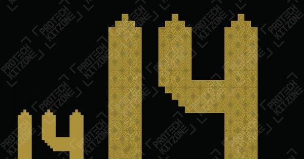 Chicharito 14 - Official Mexico Gold Cup Name and Numbering